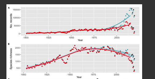 Bee Population Decline – BrianKSohn.com
